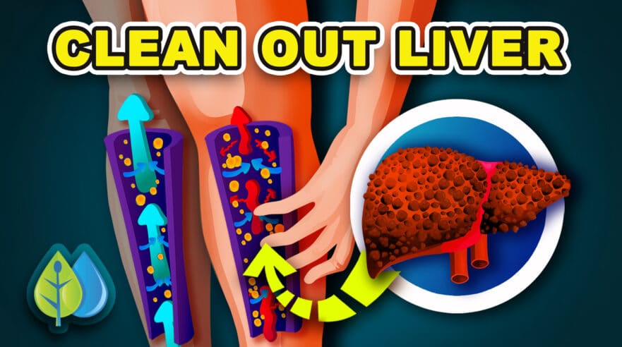 Top 12 Foods That Clean Your Blood Naturally