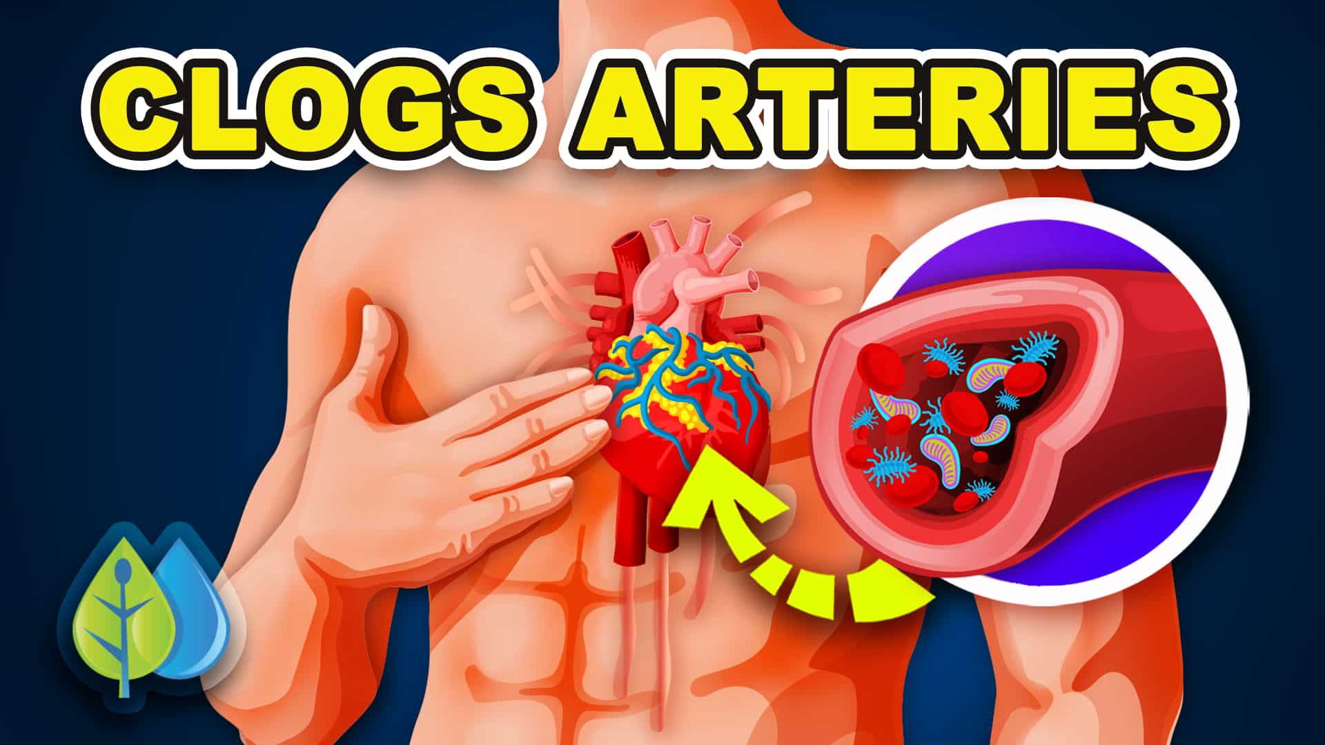 7 Simple Ways To Reverse Clogged Arteries Naturally