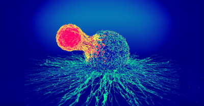 7 Powerful Foods For Autophagy: Unlock Your Body's Self-Cleaning Mode