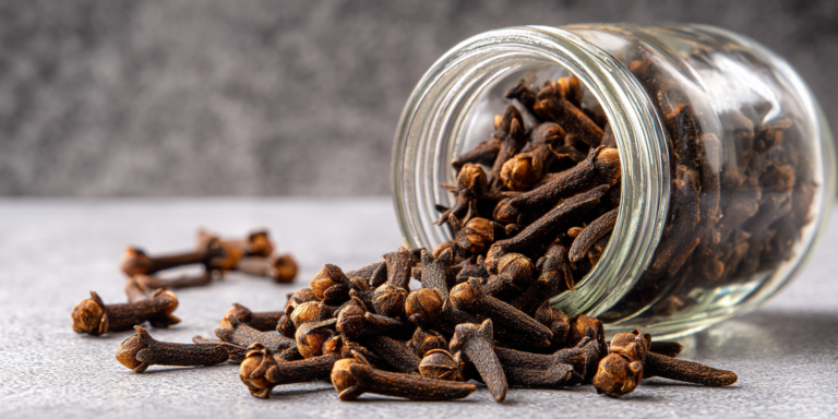 10 Powerful Plants To Eliminate Excess Mucus And Phlegm Naturally