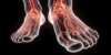 Roll Your Feet Daily—unlock Rapid Healing Throughout Your Body!