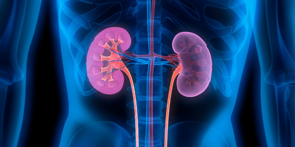 This #1 Food Could Help Repair Your Kidneys — Here’s How To Take It