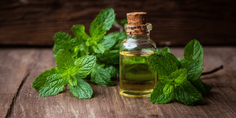 1. Unlock IBS Relief: How To Improve Digestive Comfort With Peppermint Oil!