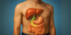 You Can Live Without Your Gallbladder — But Here’s What Really Changes ...